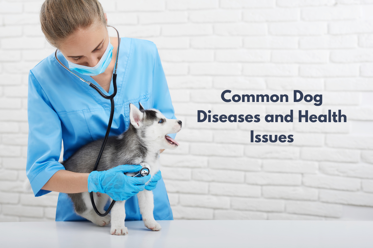 14 Common Dog Diseases and Health Issues – Bully Crew CBD